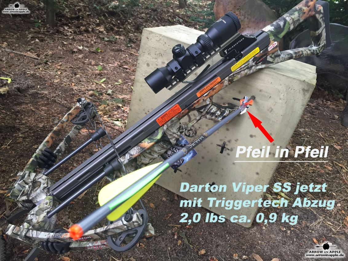 Darton Viper SS - ARROW IN APPLE