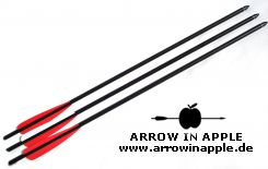 22 Inch Armbrustpfeil AIA 2219