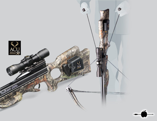 ARROW IN APPLE - Crossbow - Crossbows, Arrows